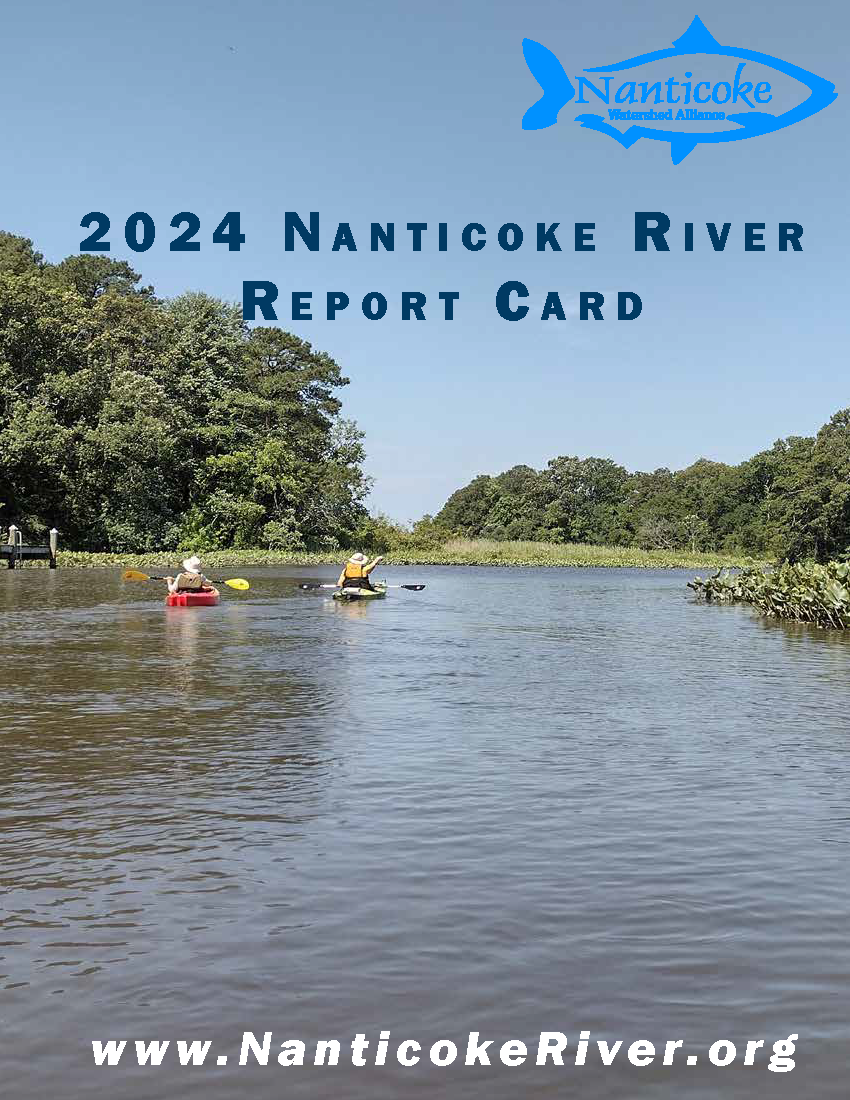 Nanticoke Watershed Alliance